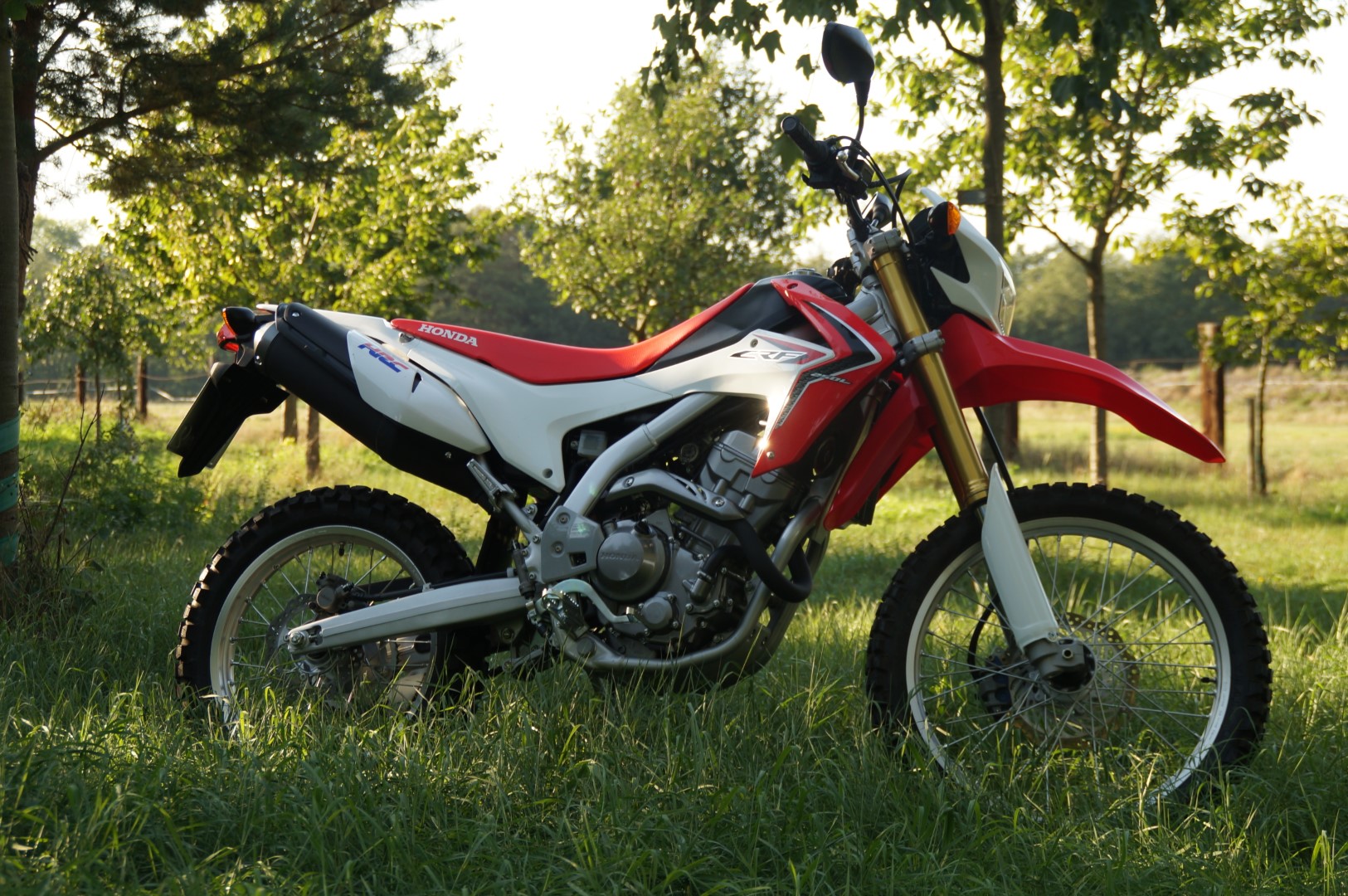 Modellgeschichte Honda CRF250L, M und Rally | CRF-FAHRER